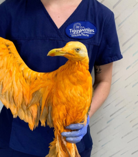 Tubantia.nl, het laatste nieuws uit Twente en de Achterhoek | tubantia.nl