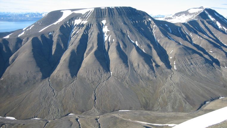 Tjalling moet een wapen | De Volkskrant