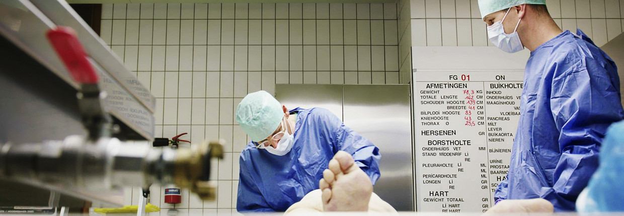 'Wetsdokters' op VTM | Humo