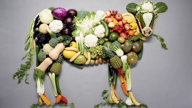 Zo is het om een maand veganistisch te eten | De Volkskrant