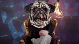 De eerste reactie van Kolonel Mops na de ontmaskering - The Masked Singer