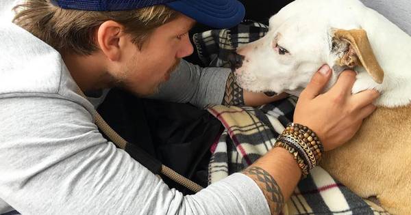 Bejaarde hond van Dreetje Hazes heeft hersentumor | Show | AD.nl