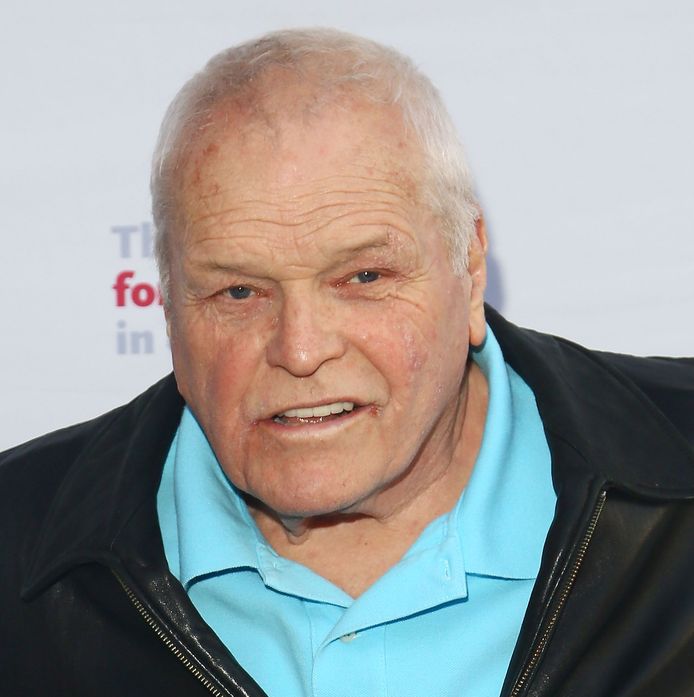 First Blood-acteur Brian Dennehy (81) overleden | Show | AD.nl