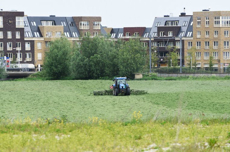 De verstening van Nederland gaat onverdroten verder, ‘voor bijna 90 ...