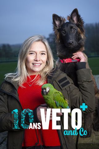Véto & Co - Saison 8 - en replay sur RTL play: rediffusion gratuite en ...