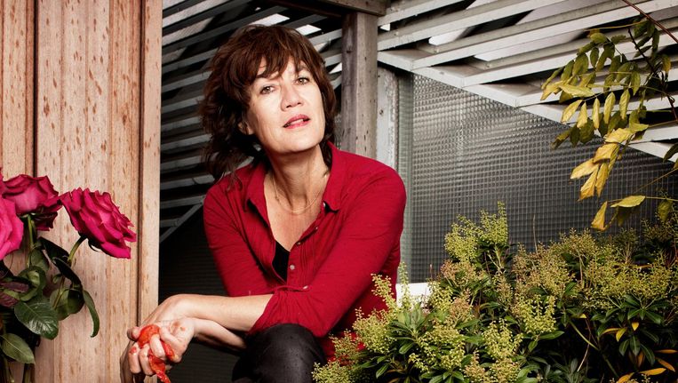 Mirjam Oldenhave: 'Mees Kees een Gouden Kalf, straks wordt hij nog ...