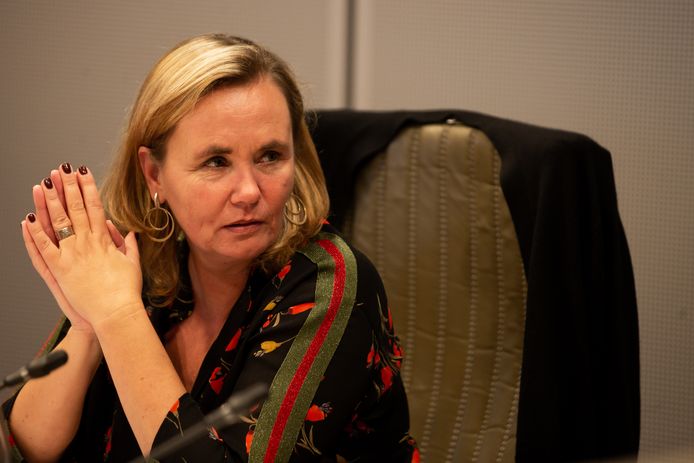 Liesbeth Homans quitte le gouvernement flamand pour présider le ...