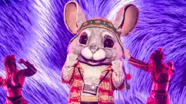 Chinchilla, stop alsjeblieft nooit - The Masked Singer