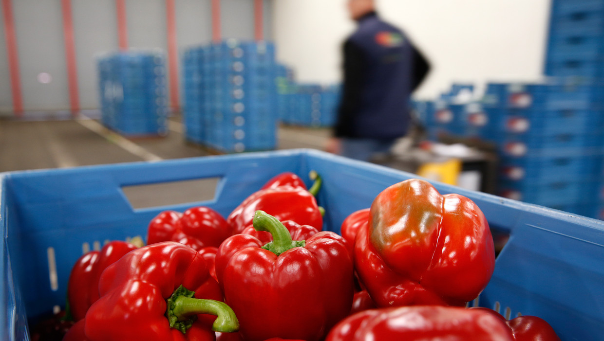 Nederlandse export van landbouwproducten hoogste in vijf jaar | Trouw