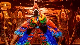 Papegaai gaat de zwoele kant op met 'Watermelon Sugar' - The Masked Singer