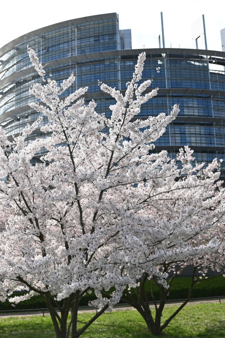 7sur7.be, l'actualité belge et internationale en temps réel | 7sur7.be