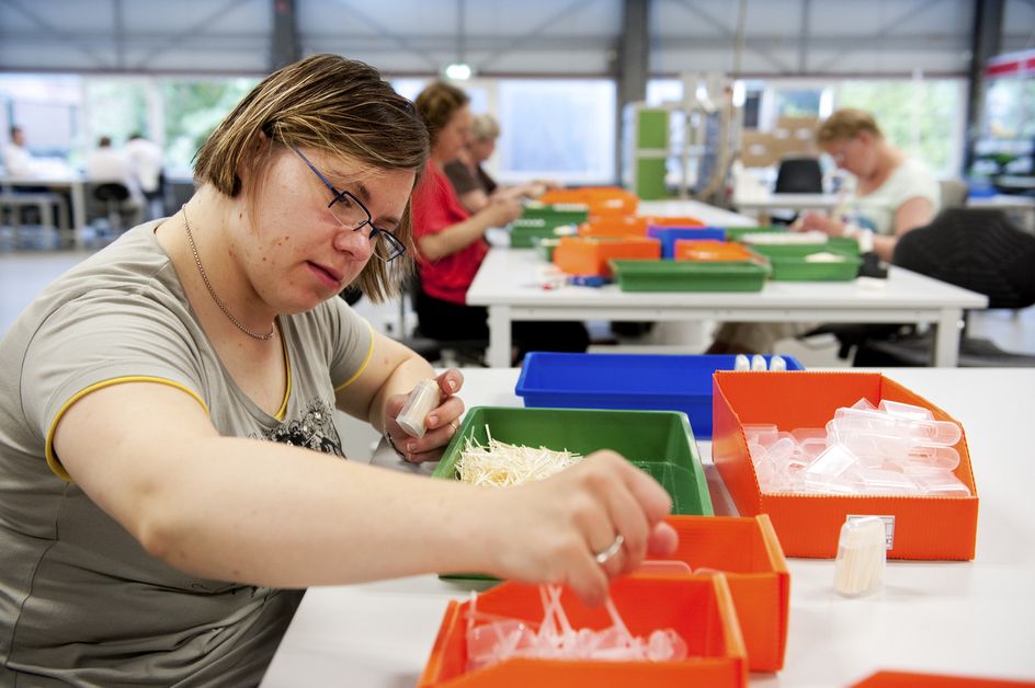 Aan sociale werkplaats nieuwe stijl is weinig sociaal | TROUW