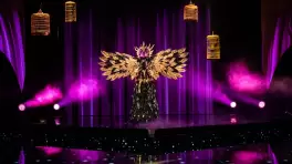 Kippenvel met Raaf haar wondermooie 'Strong' - The Masked Singer
