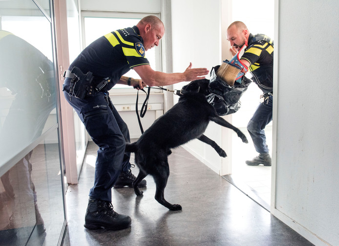 'Politiehond is een levend wapen' | Woerden | AD.nl