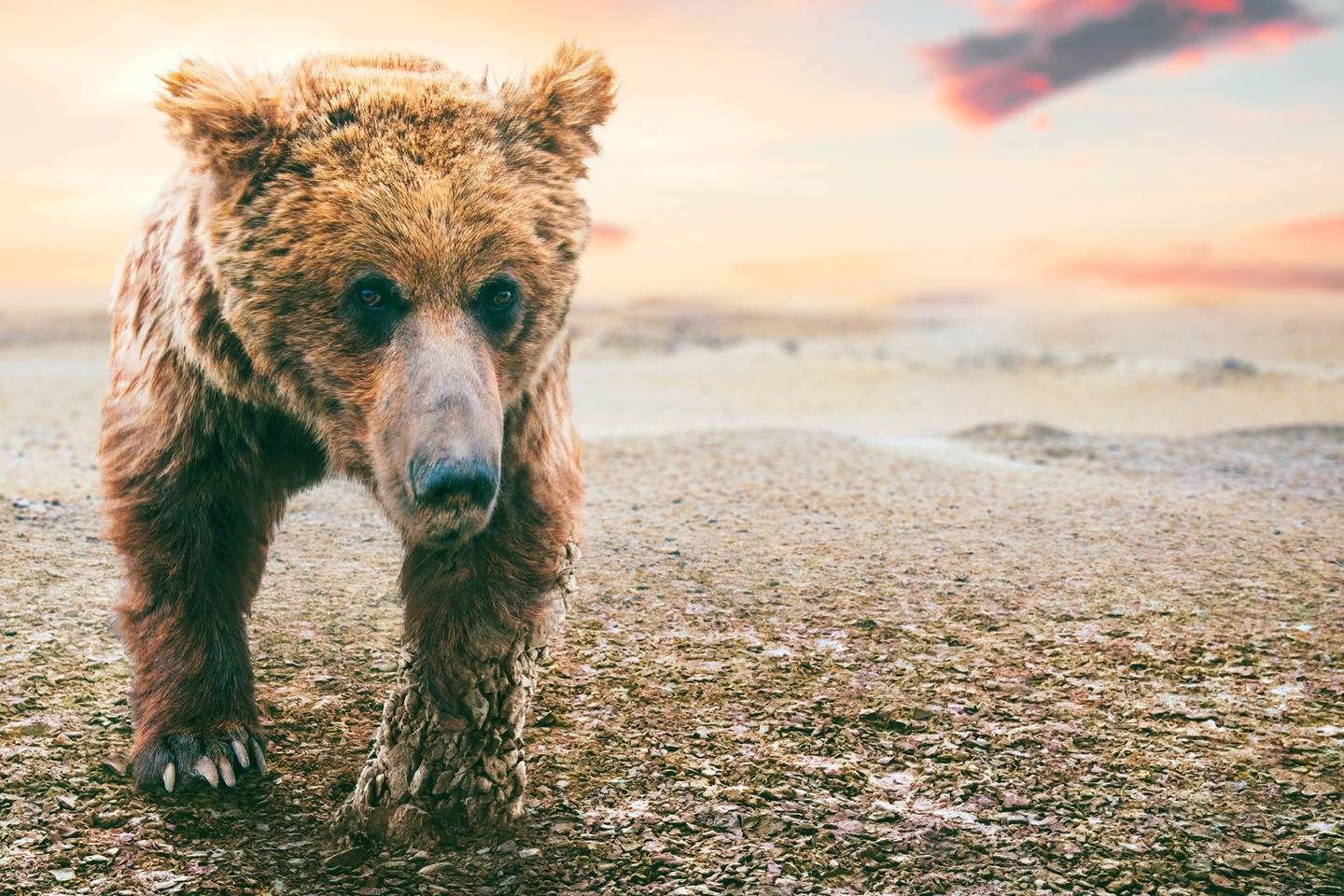 Asia - VRT Canvas - donderdag 01 januari 2026 - 19:30 - TV-Gids