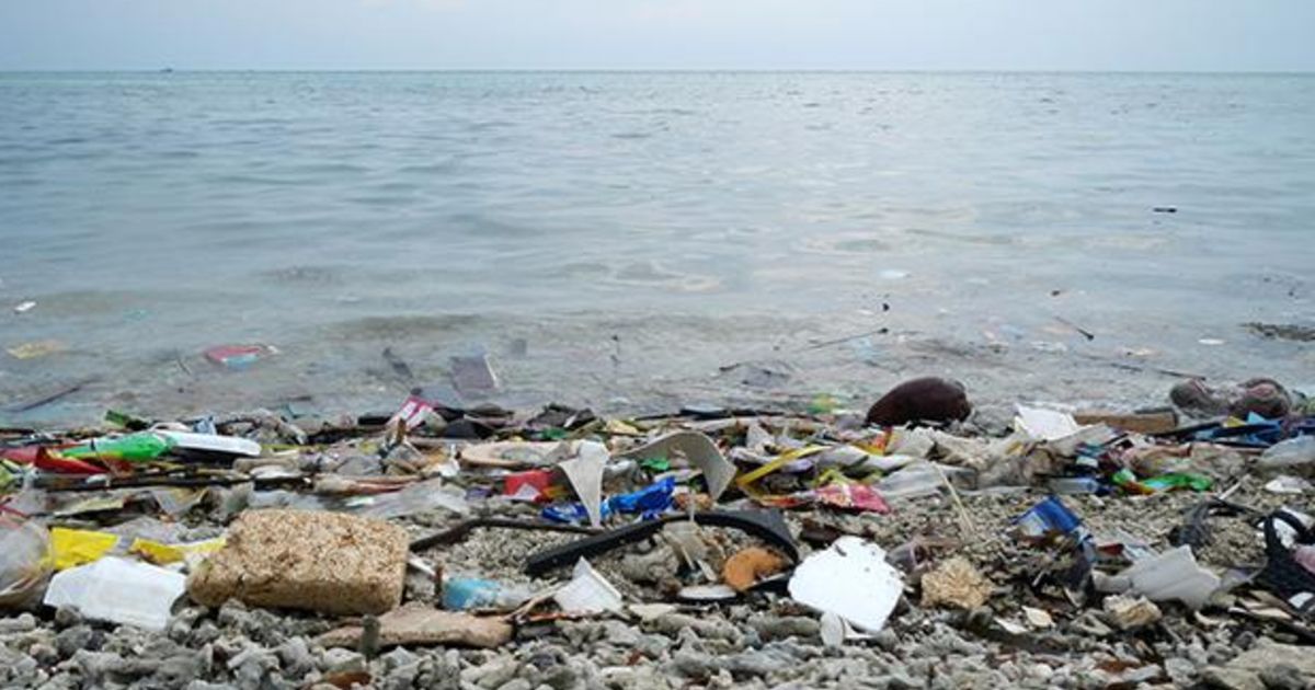 "Als we vandaag niets doen, is er in 2050 meer afval in de zee dan dat ...