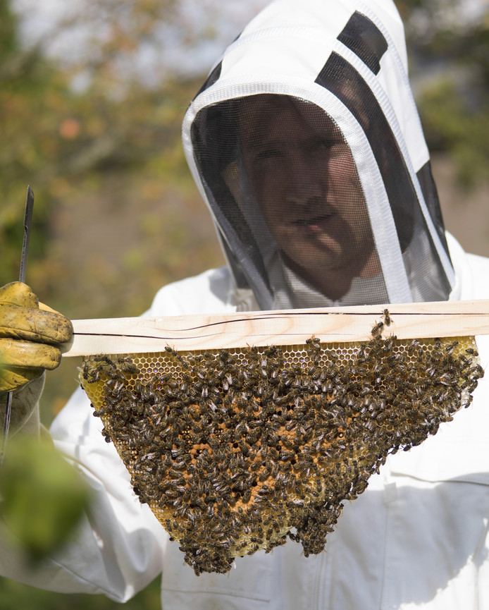 Tientallen mensen geven geld voor start imkerij | Dordrecht | AD.nl