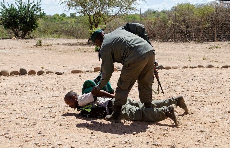 Alarmerende afname van aantal olifanten door stroperij | Trouw