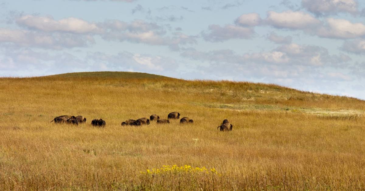 L'avenir sombre et sec des grandes plaines américaines | Ecologie ...