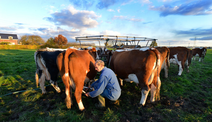 Boeren op de ouderwetse manier - boer Kees doet het | Rivierenland ...