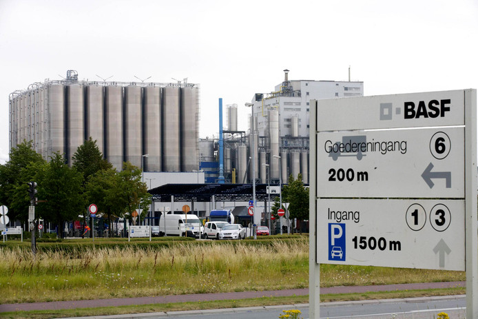 BASF investit 500 millions d'euros à Anvers | Economie | 7sur7.be