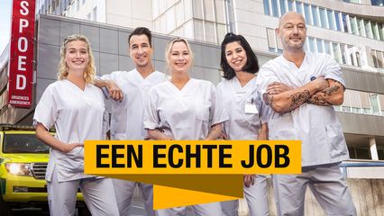 Een Echte Job - Kijk gratis naar volledige afleveringen - VTM GO