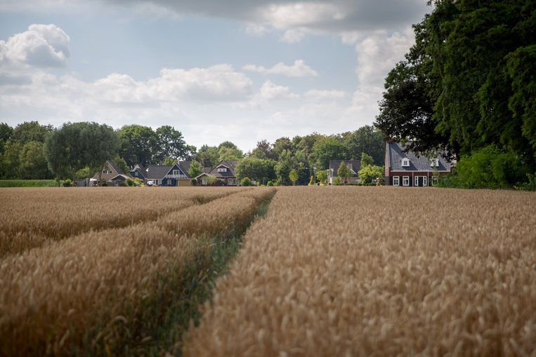 Het geheim van Witteveen, Drents dorp waarmee het wél goed gaat | Trouw