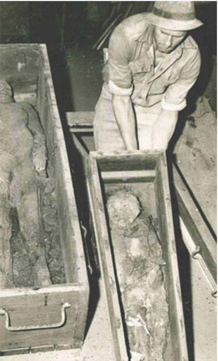 Een onzichtbare schat, 21 mummies in de kerk van Tholen (longread ...